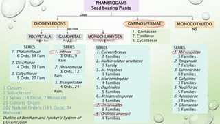 Classification systems of Angiosperms.pptx