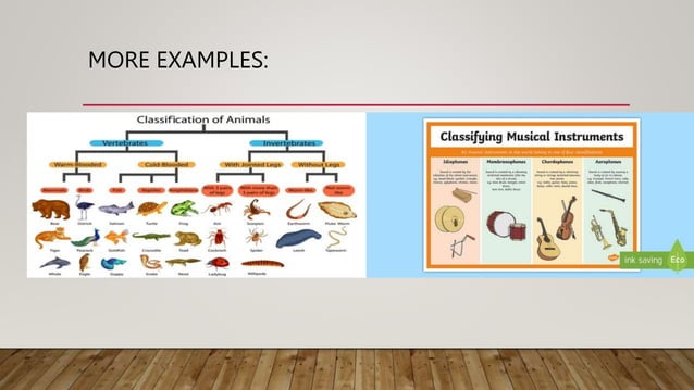 classification,a deeper dive to the word.pptx