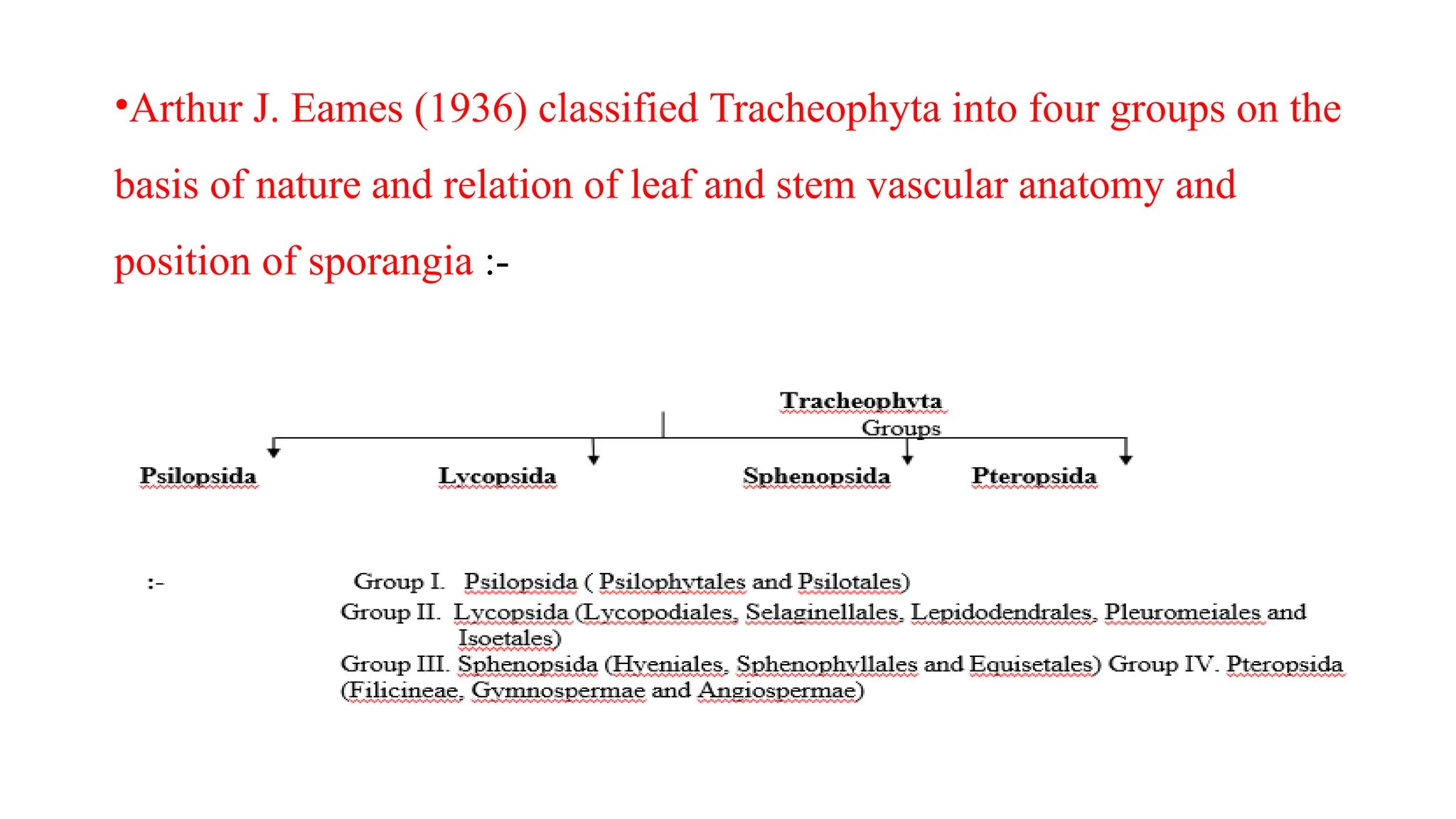 Classification of Pteridophytes _systems | PPTX