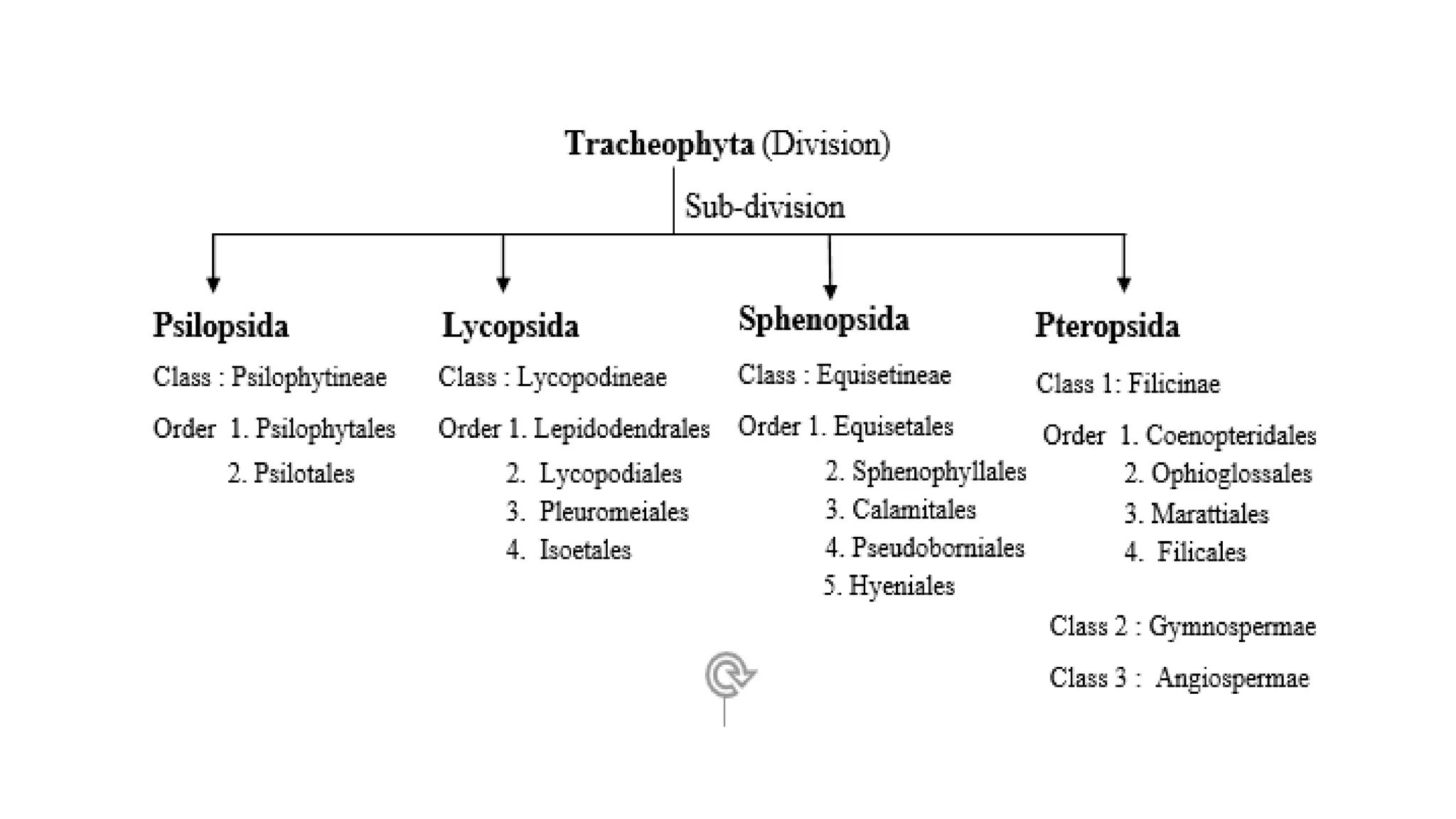 Classification of Pteridophytes _systems | PPTX
