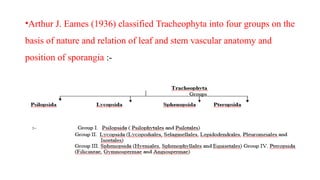 Classification of Pteridophytes _systems | PPTX