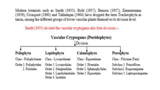 Classification of Pteridophytes _systems | PPTX
