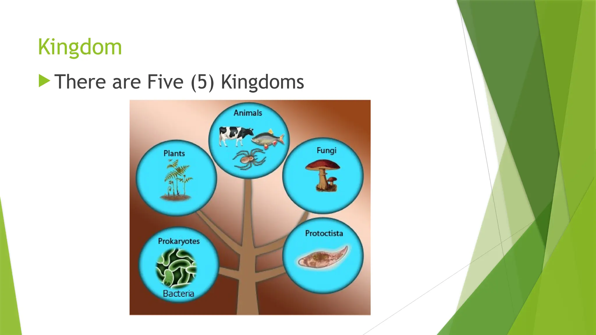 Biology Classification of Living Organisms.pptx | Biological Sciences ...
