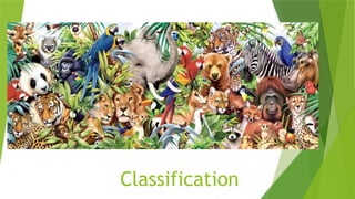Biology Classification of Living Organisms.pptx