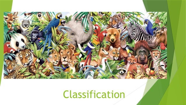 Biology Classification of Living Organisms.pptx | Biological Sciences ...