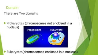 Biology Classification of Living Organisms.pptx