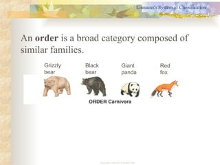 classification.ppt........................ | PPT