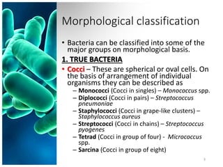 classification.pdf of bacteria various c | PPT
