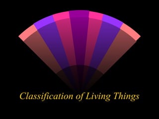 classification.ppt science research task | PPT