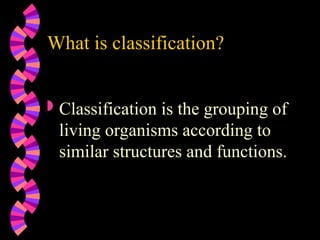 classification.ppt science research task | PPT