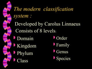 classification.ppt science research task | PPT