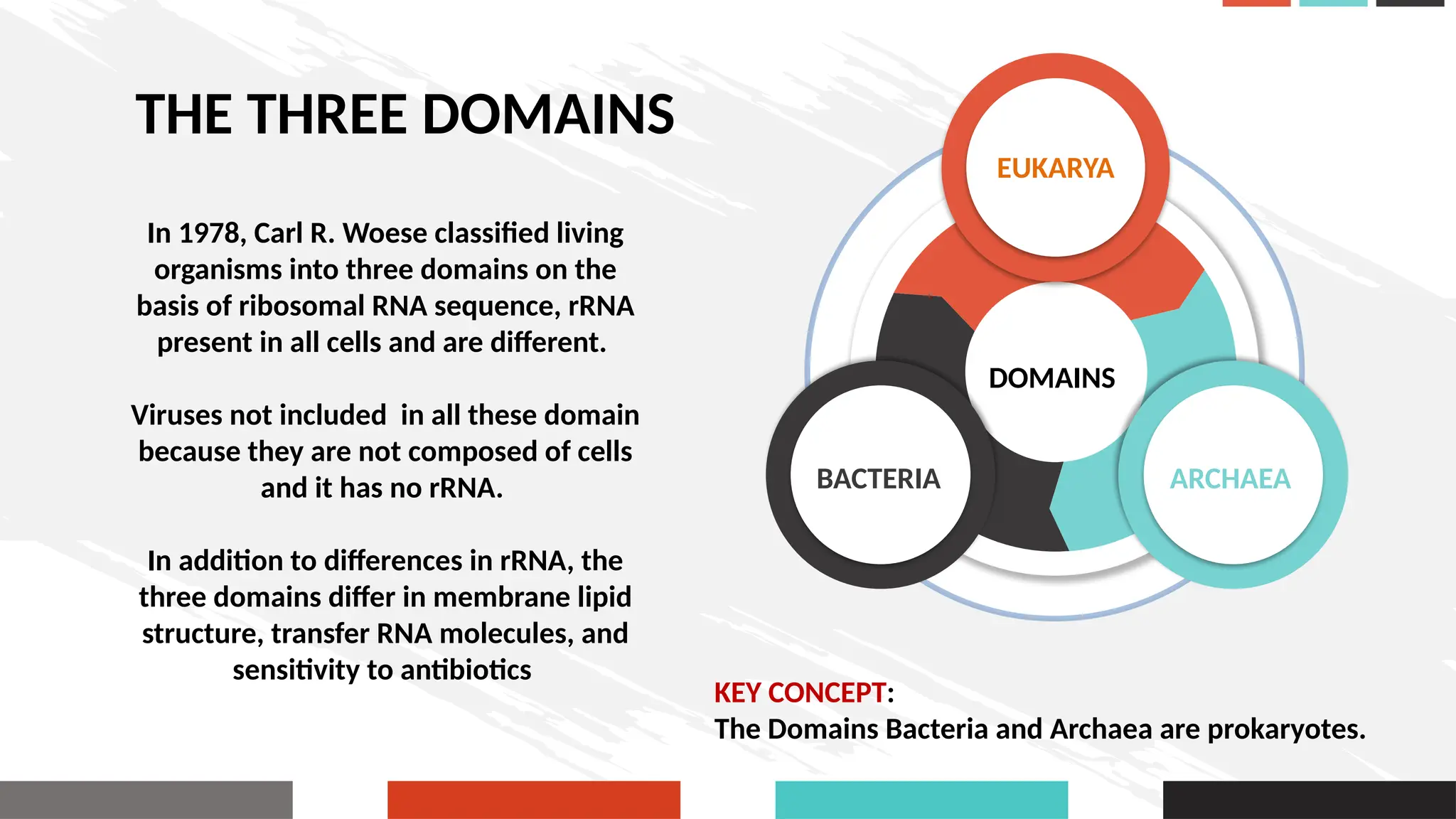 CLASSIFICATION OF LIVING ORGANISMS: THE THREE DOMAINS OF LIFE | PPTX