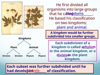 Classification of organisms and evolution.pptx