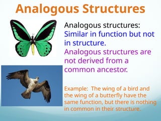 Classification of organisms and evolution.pptx