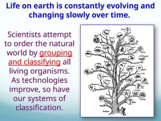 Classification of organisms and evolution.pptx
