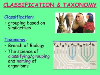 classification PPT Special Education Etc | PPT