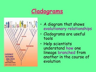 classification PPT Special Education Etc | PPT