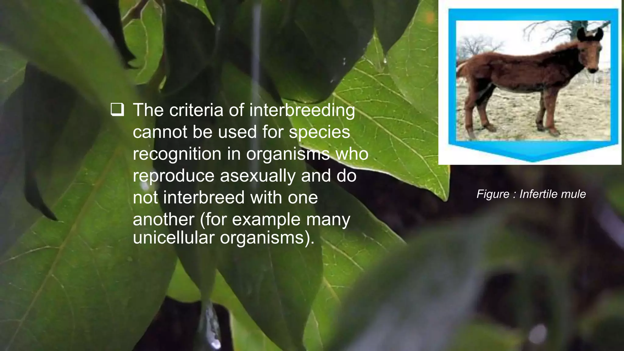 Classification: Aims and principles | PPTX
