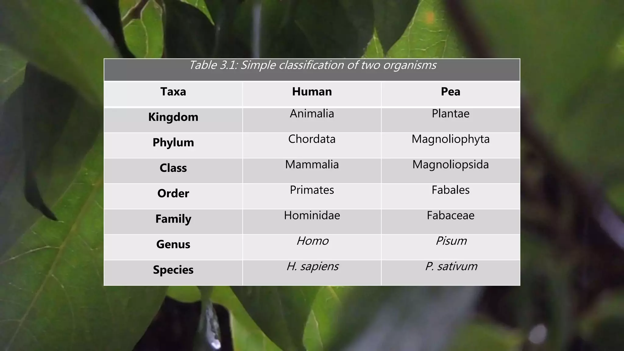 Classification: Aims and principles | PPTX