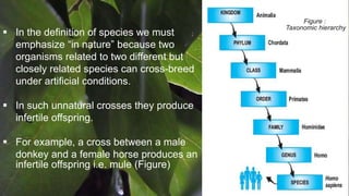 Classification: Aims and principles | PPTX