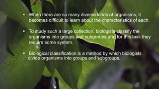 Classification: Aims and principles | PPTX