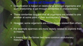 Classification: Aims and principles | PPTX