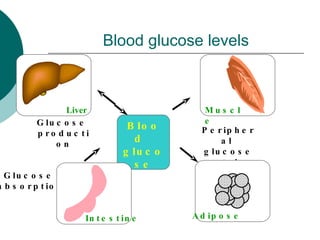 Classification And Diagnosis Of Diabetes | PPT
