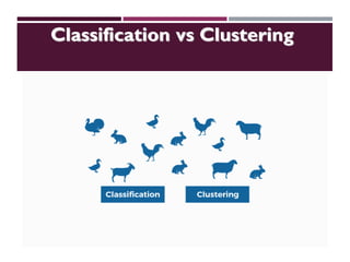 classification-BIA-13122022-103948am-05102023-013341pm.pdf