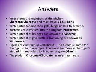 Classification - biology | PPTX