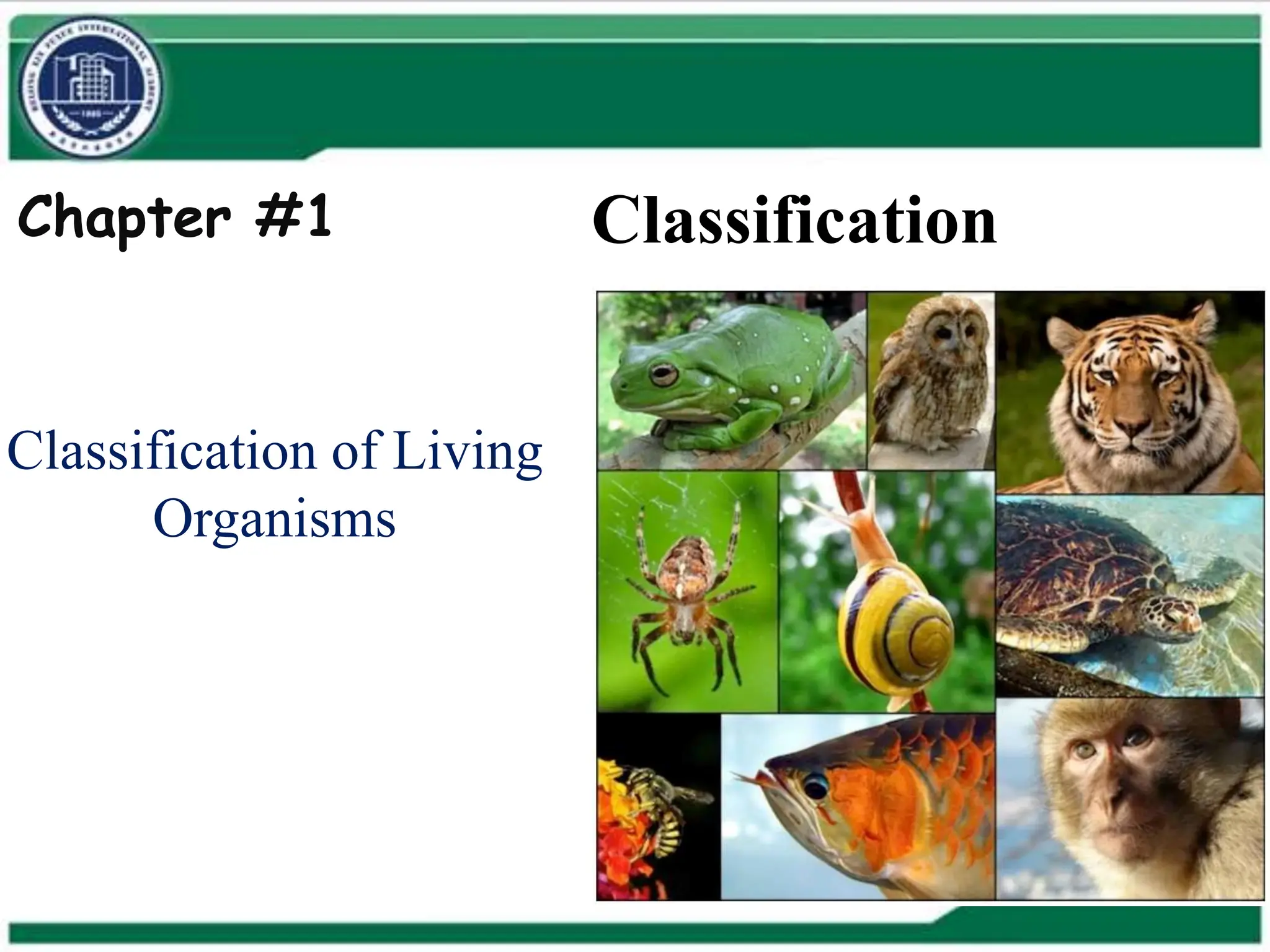 Biology Classification-Chapter-1(1.1-1.7).pptx