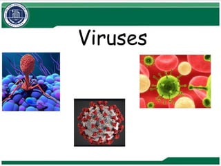 Biology Classification-Chapter-1(1.1-1.7).pptx