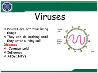 Biology Classification-Chapter-1(1.1-1.7).pptx