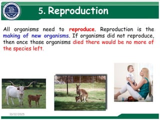 Classification---Chapter-1(1.1-1.7).pptx