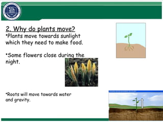 Classification---Chapter-1(1.1-1.7).pptx
