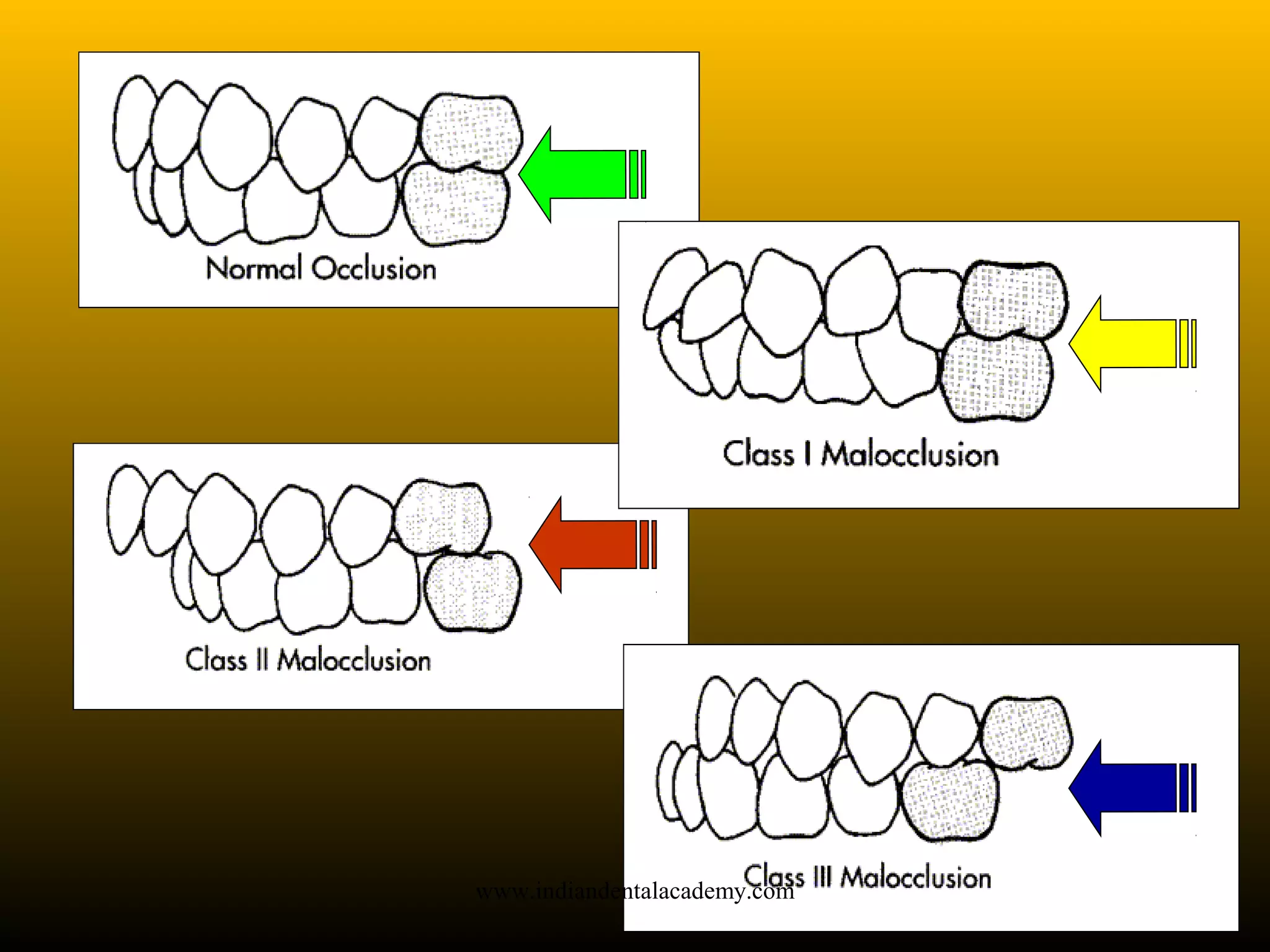 Classification | PPT