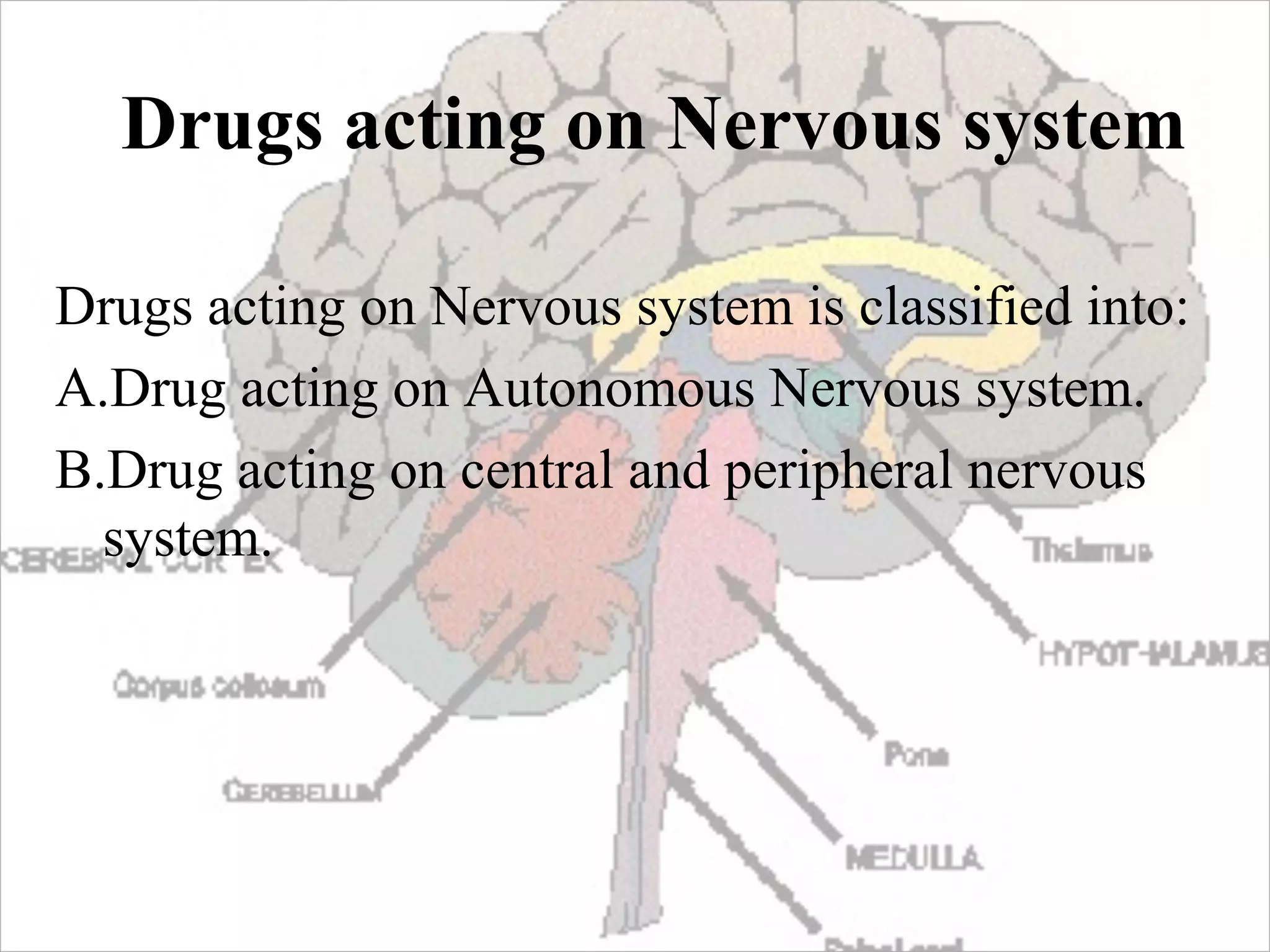 Classification drug act on nervous system | PPT