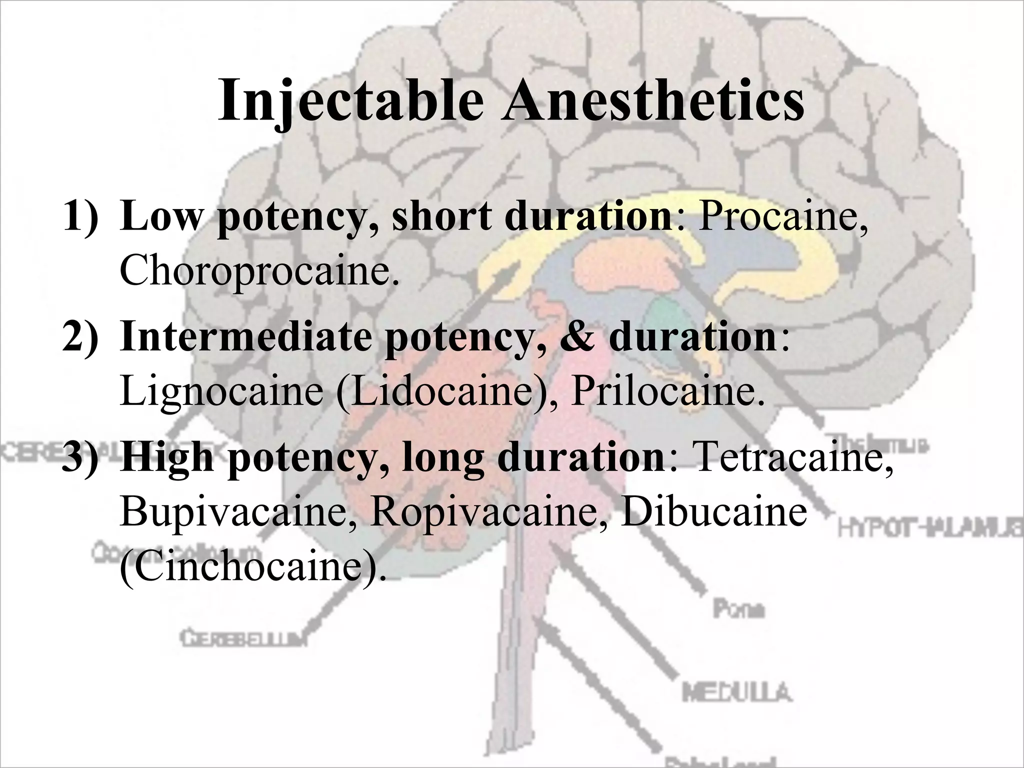 Classification drug act on nervous system | PPT