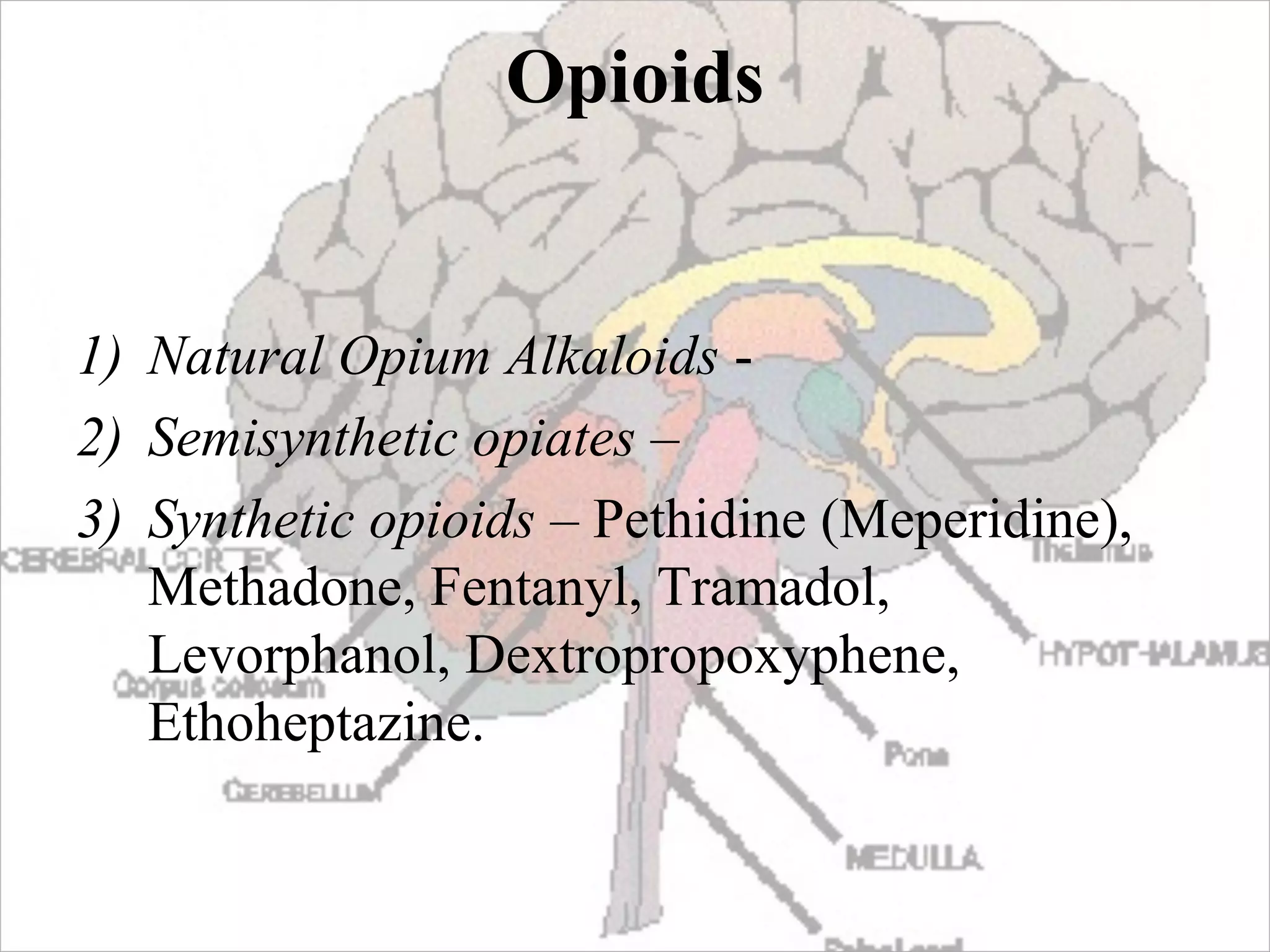 Classification drug act on nervous system | PPT