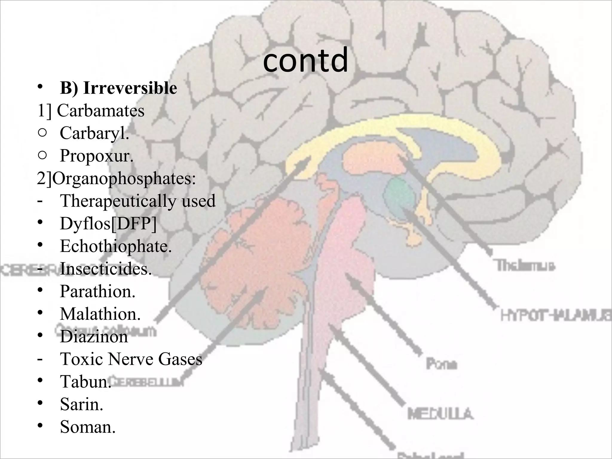 Classification drug act on nervous system | PPT