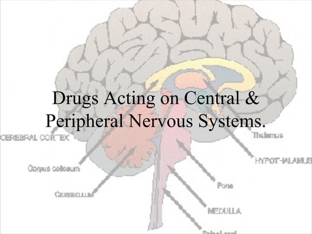 Classification drug act on nervous system | PPT