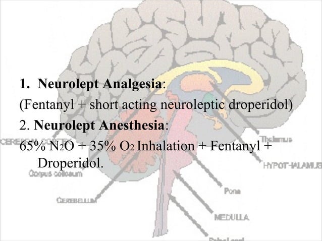 Classification drug act on nervous system | PPT