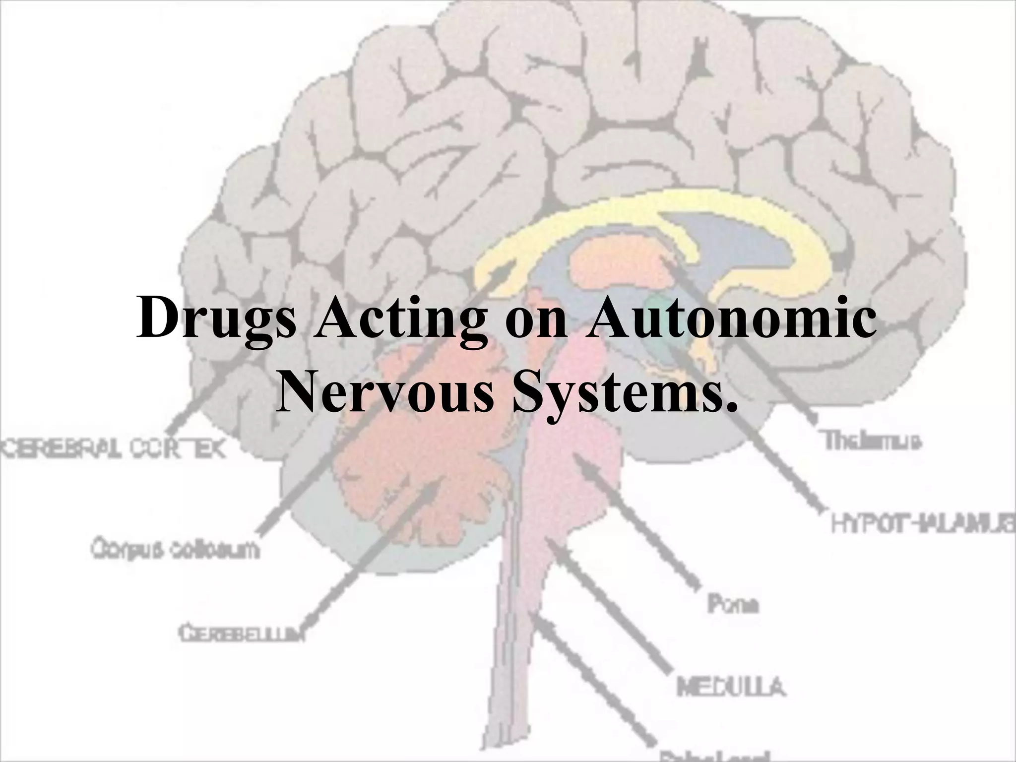 Classification drug acton nervous system | PPT