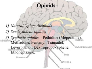 Classification drug acton nervous system | PPTX