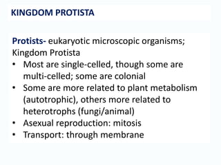 Classification Eukaryotes | PPTX