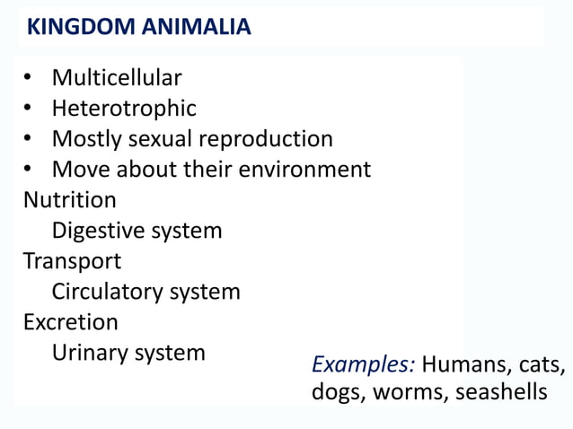 Classification Eukaryotes Pptx Biological Sciences Science 0547