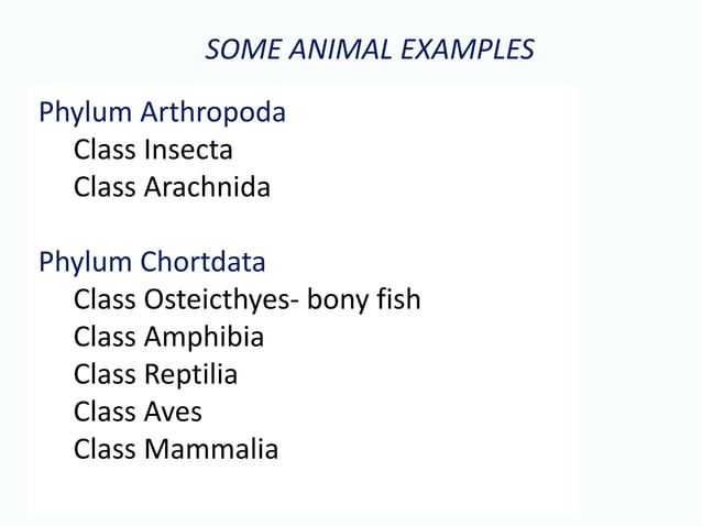 Classification Eukaryotes Pptx Biological Sciences Science 9475