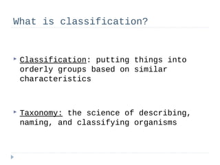 Classification notes | PPT