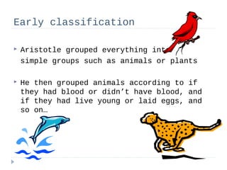 Classification notes | PPT