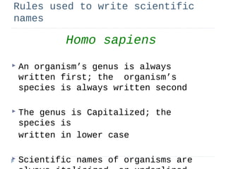 Classification notes | PPT