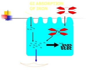 Classification Of Anaemia & Ida | PPT